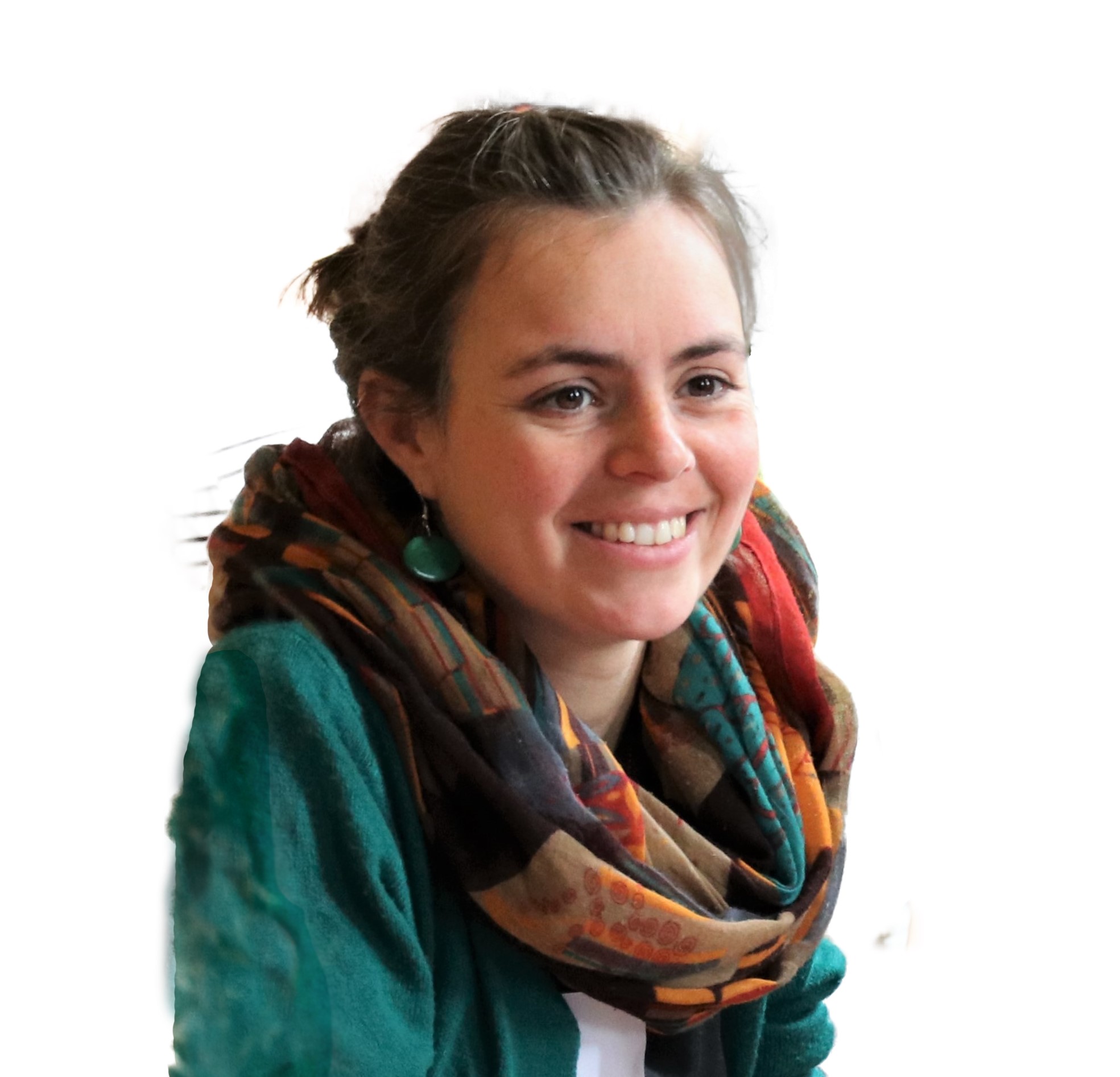 Dr Annelieke Driessen - THIS Institute - The Healthcare Improvement ...