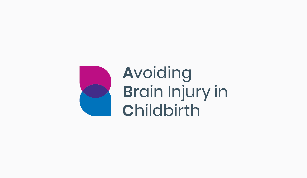 Avoiding Brain Injury in Childbirth: new approaches to improve outcomes ...